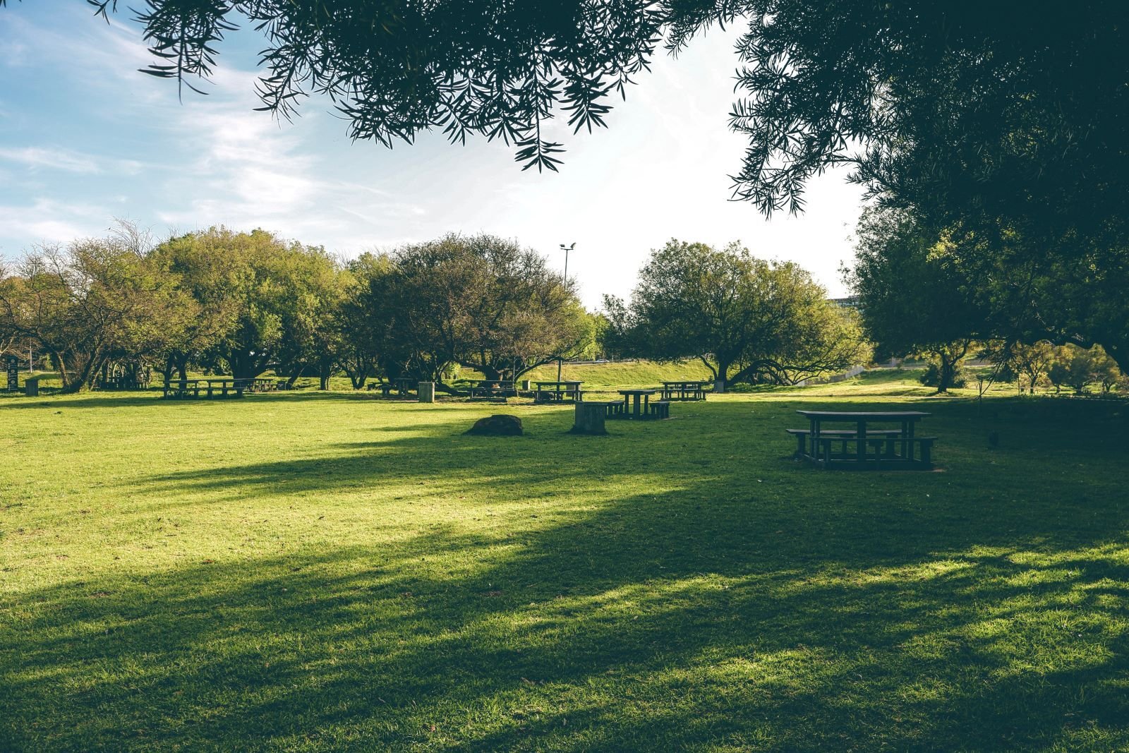 Discover the Best Parks and Green Spaces in Abu Dhabi
