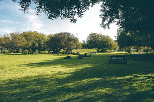 Discover the Best Parks and Green Spaces in Abu Dhabi