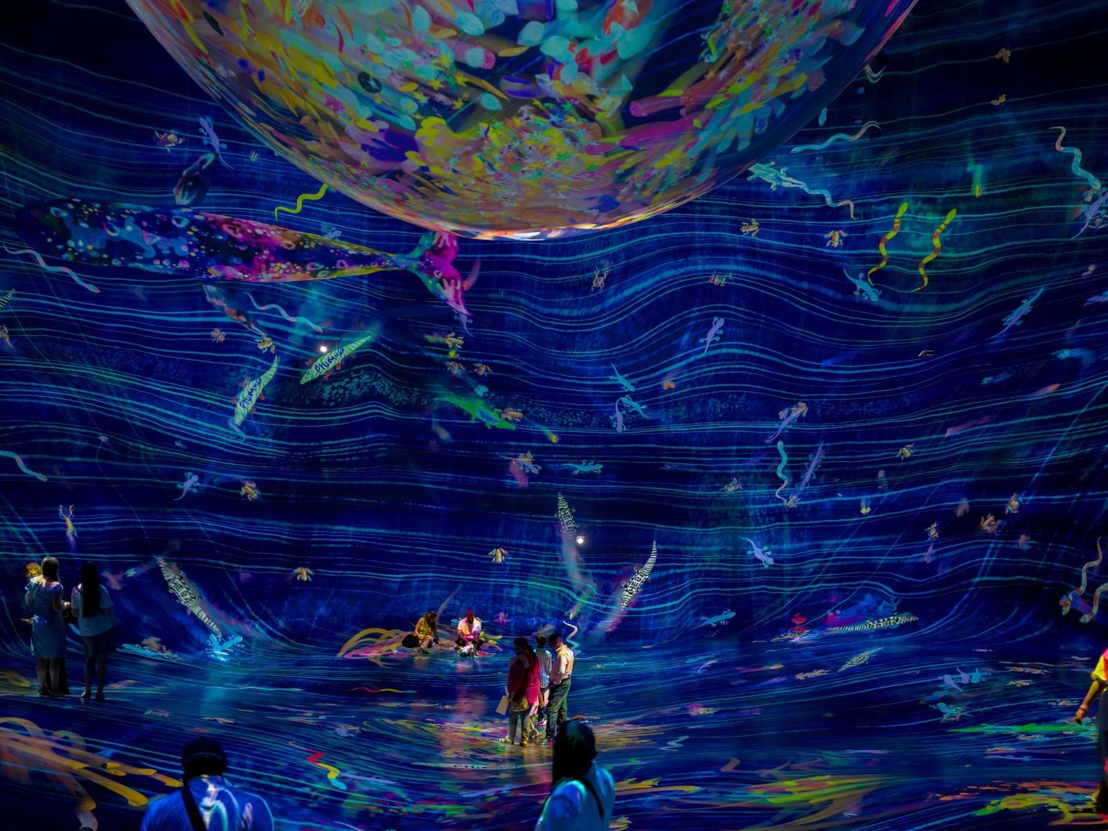 teamLab Phenomena Abu Dhabi: A Living Museum of Digital Art