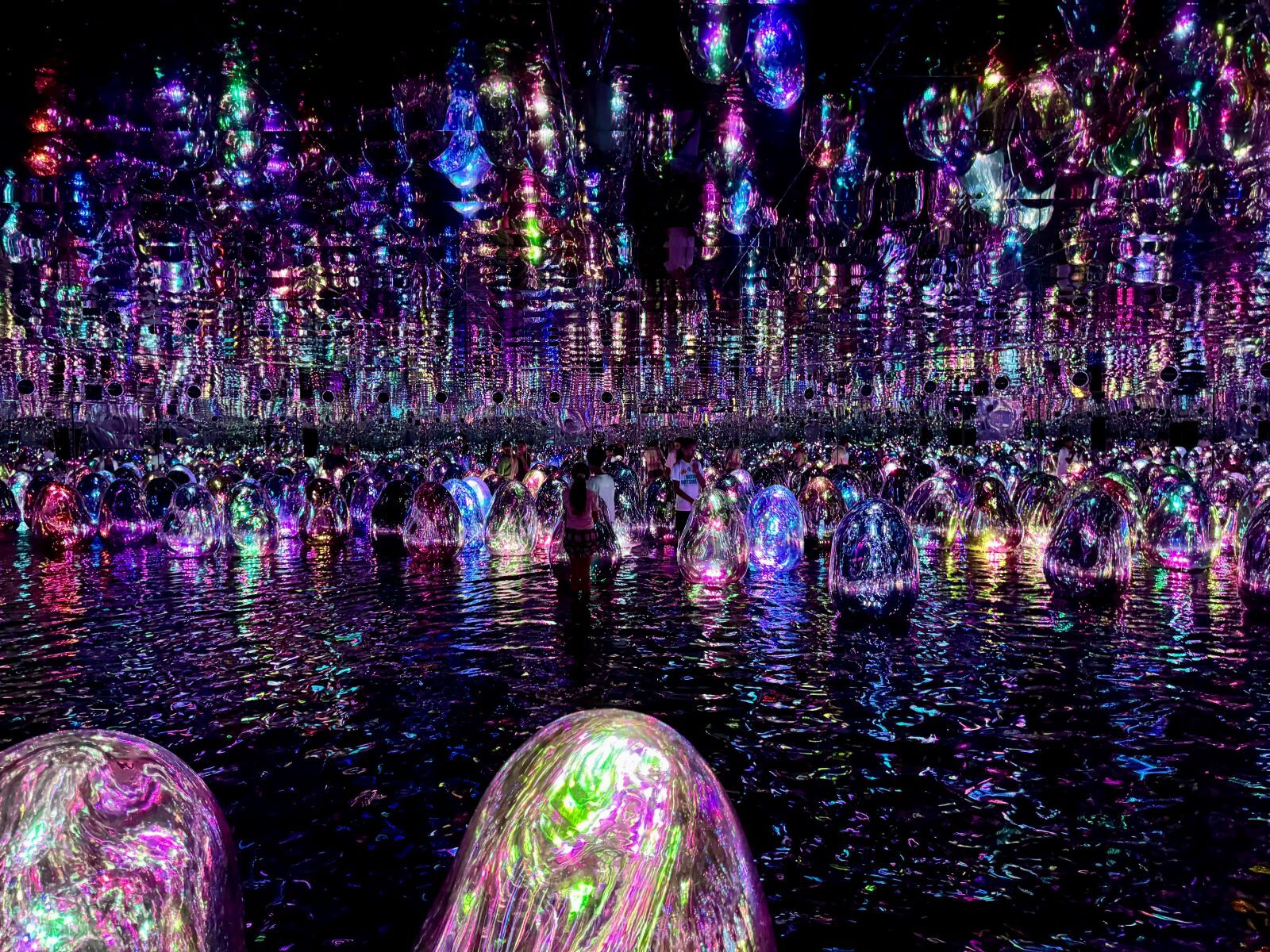 teamLab Phenomena Abu Dhabi: A Living Museum of Digital Art